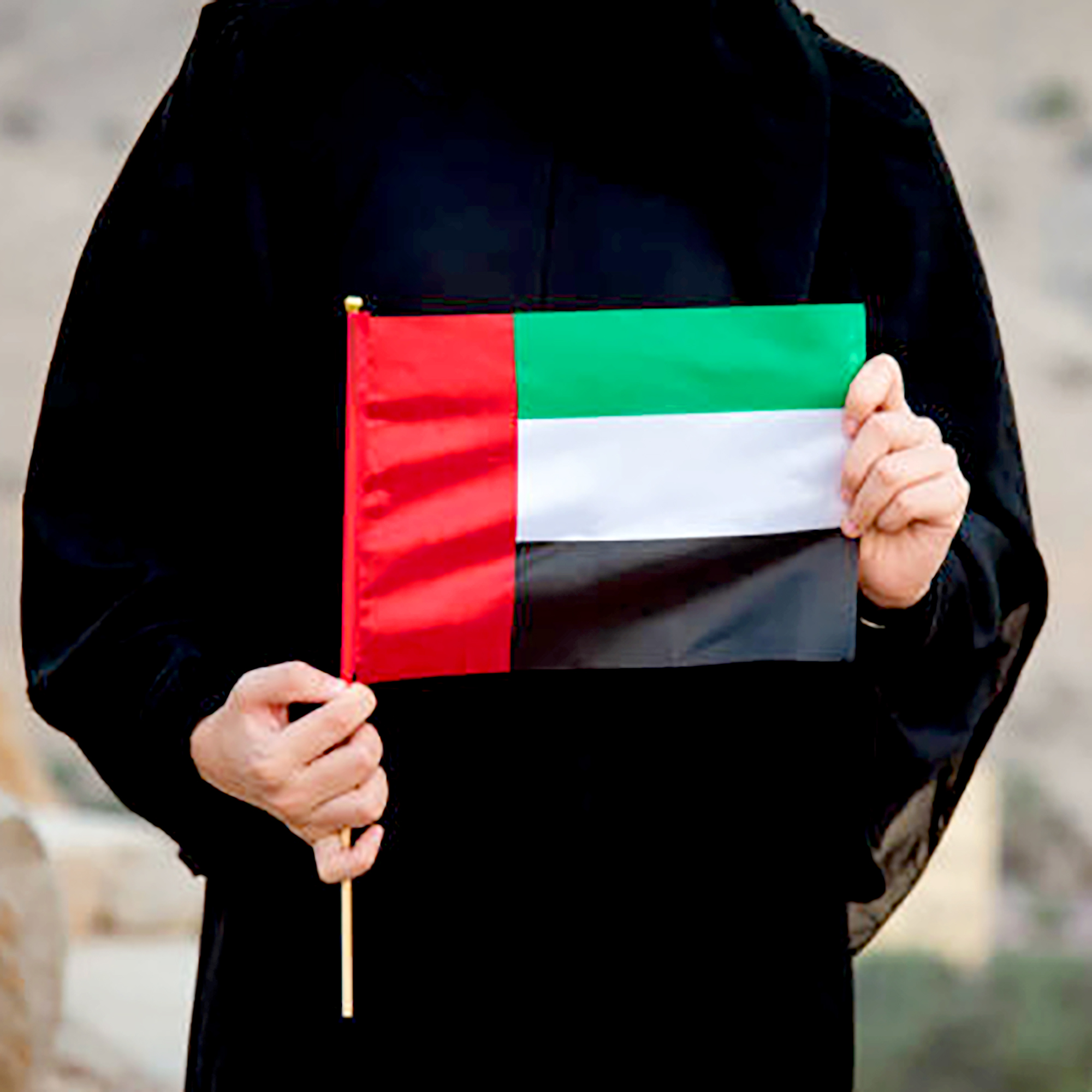 Hand Flags - Carewell Signage
