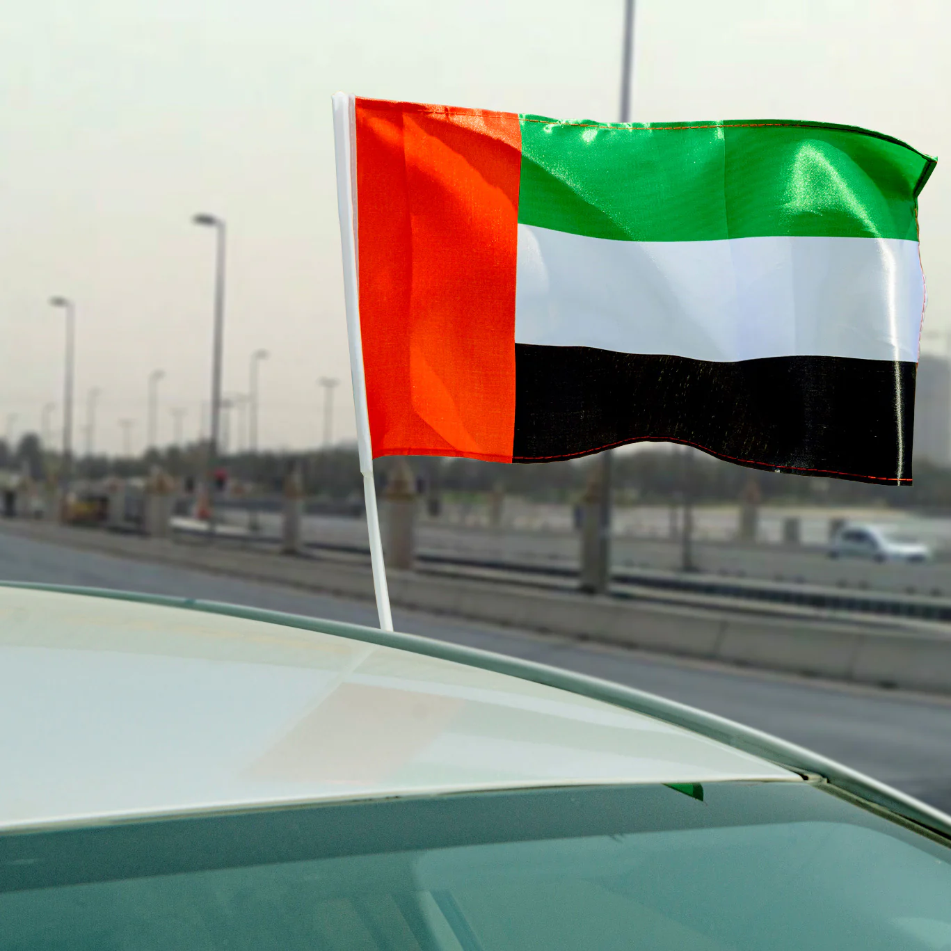 Car Flags - Carewell Signage